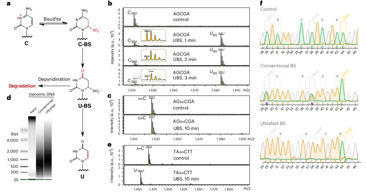 Chuan He Group Introduces USB-seq, a Revolutionary Method for Rapid and ...