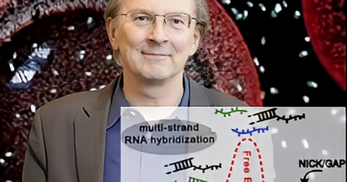 Szostak Lab Uncovers New Mechanisms of RNA Stability and Interaction ...