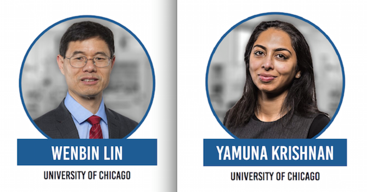 Wenbin Lin and Yamuna Krishnan named "Researchers to Know" by the ...