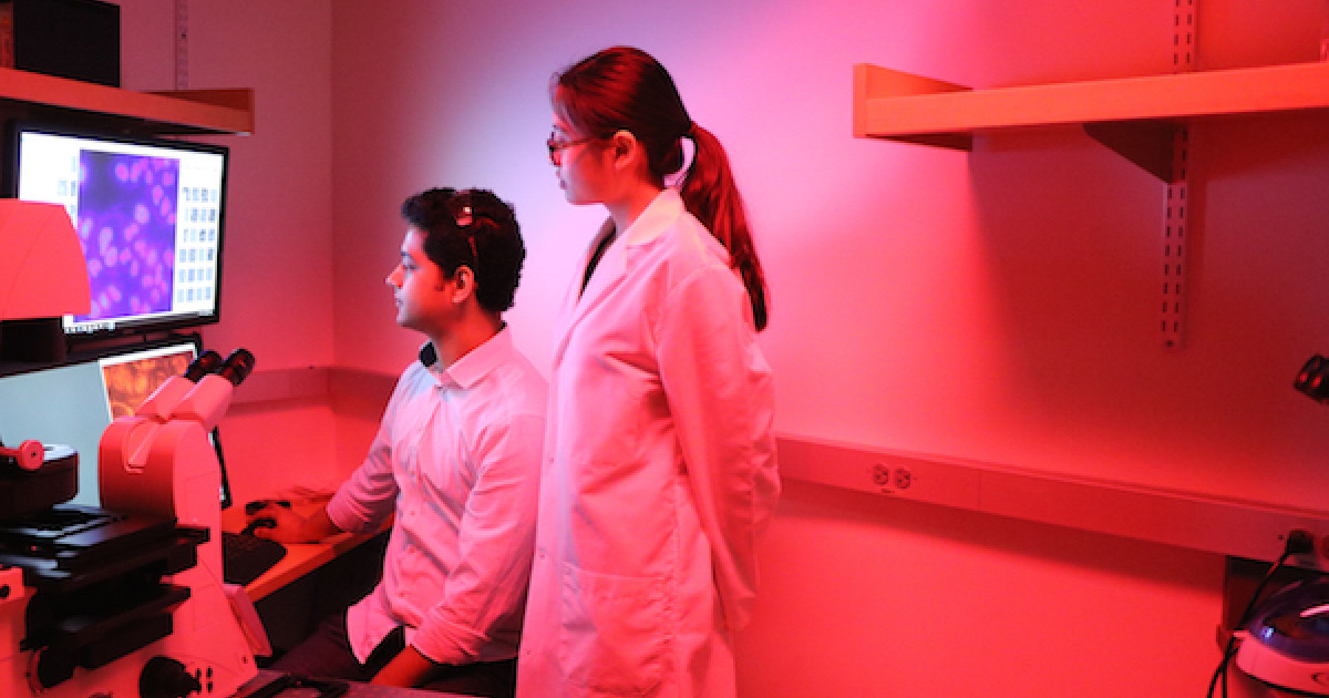 Dickinson lab develops probe that demonstrates dynamic lipidation of ...