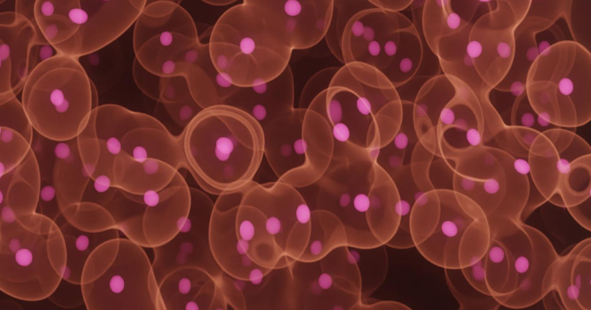 Wenbin Lin Group develop new nanomedicine approach to improve cancer ...